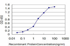 HELZ Antibody (monoclonal) (M02) - Mouse monoclonal antibody raised ...